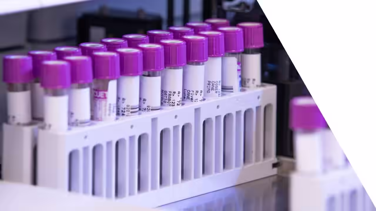 Chi siamo: Assistenza e Consulenza Veterinaria | CDVet - Laboratorio di ...